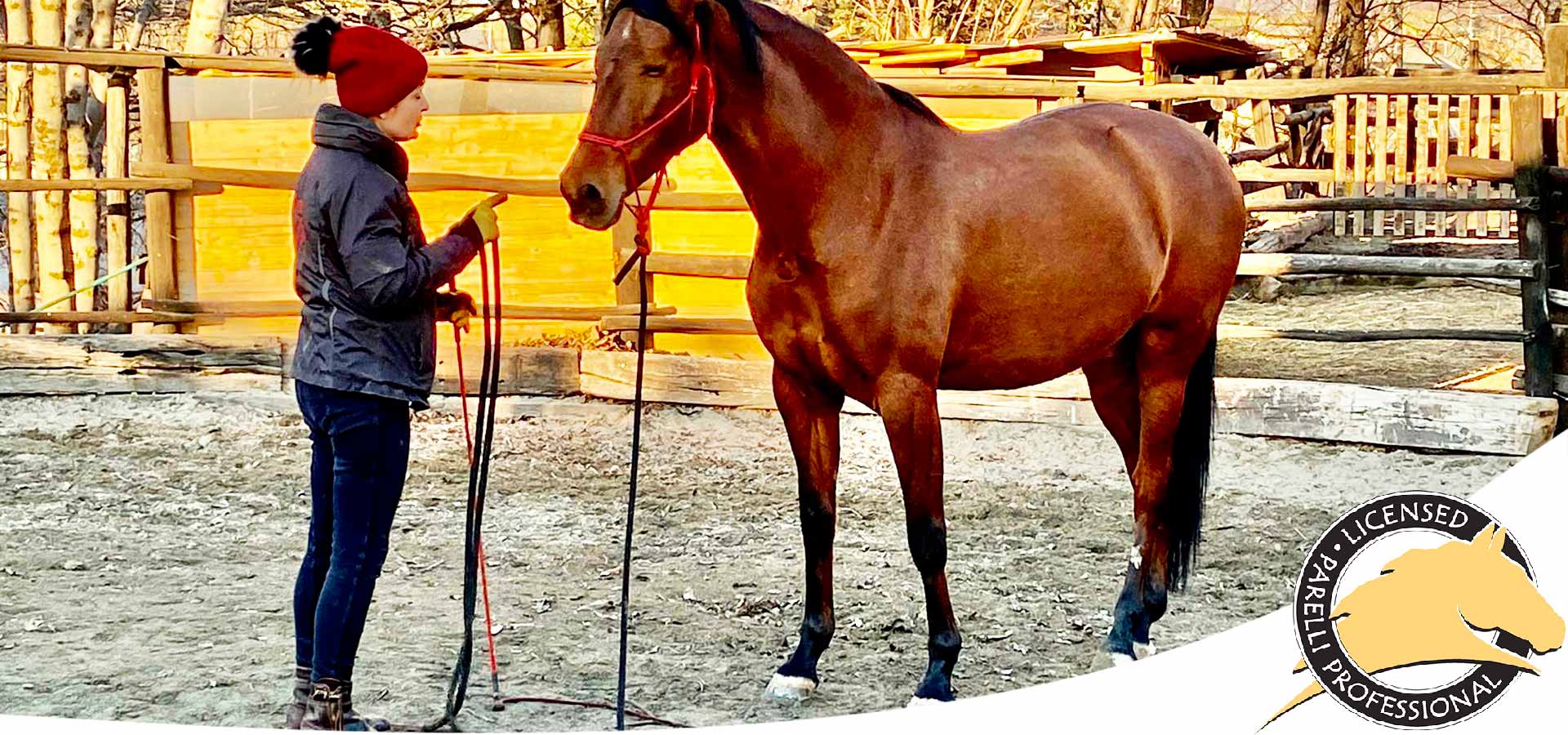 Il Metodo Parelli - B&B Ranch Montanaria